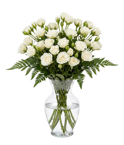 50 roses spray blanches – dès 59,99 $ | Fleur Québec